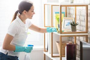 House Cleaning Services in Surrey, BC That Will Always Delight You CLEANY